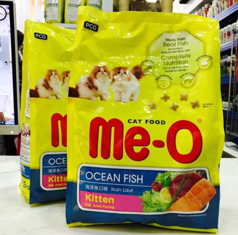 Top 9 thức ăn cho mèo tốt nhất, được các "boss" thích ăn nhất - Osin ...